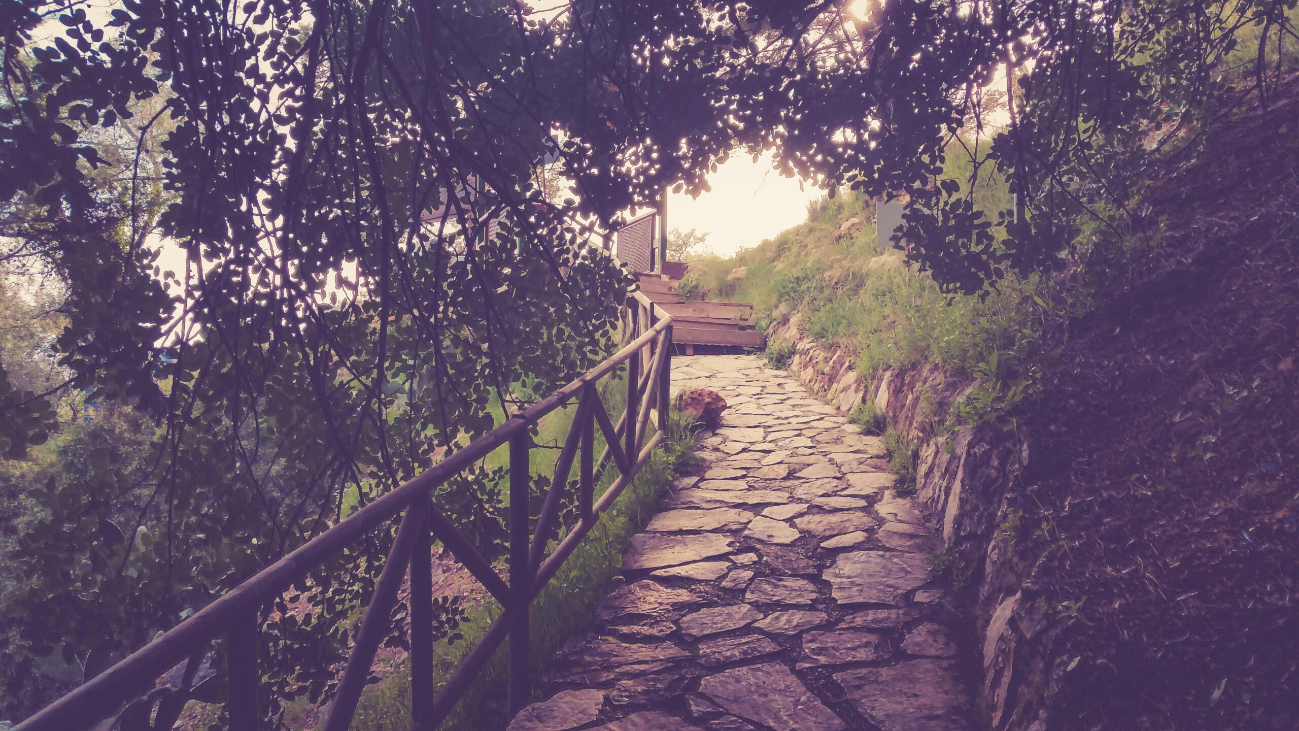 Step-by-Step: How To Build a Walkway | Sunready Landscaping